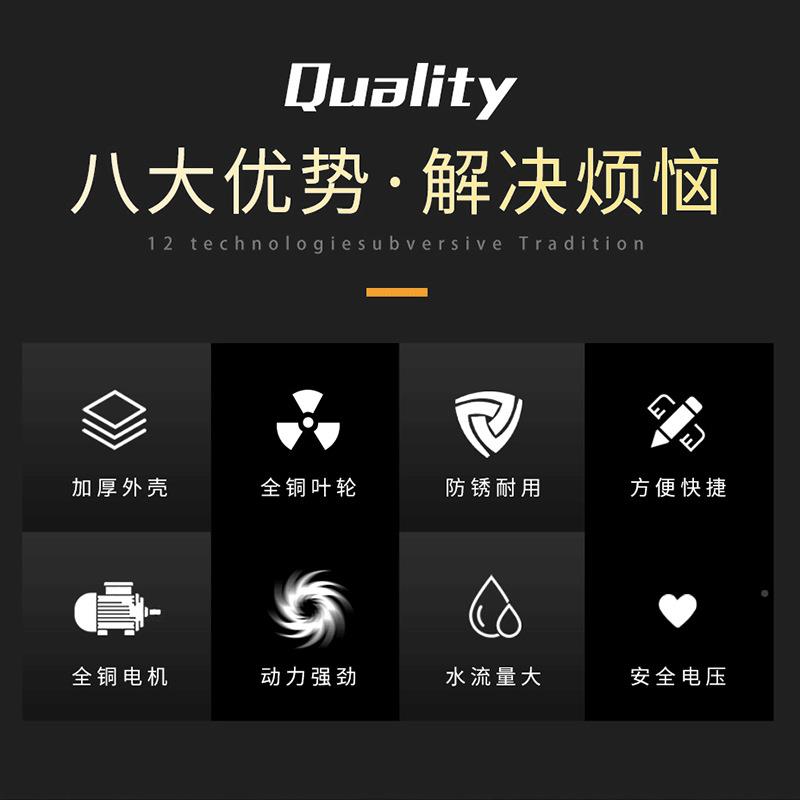 磊流抽名水机直家用12v2v48v60v72v抽水泵水井IPJ便携式小4型自吸