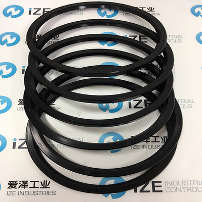 TRAA02400-N7MMR 240*270*15密封BUSAK+SHAMBAN(B+S)