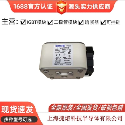 170M6460 快速熔断器  保险丝 电子元器件 量大价优 可开专票