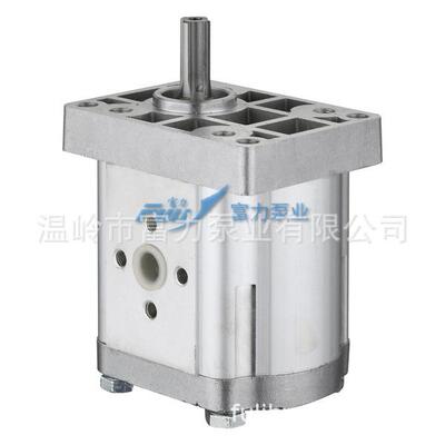 FT800.58A.020 (ACB-F325L) 福田 齿轮泵 农机泵 质保一年