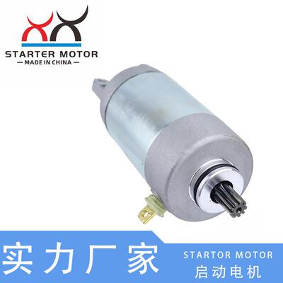 3FA-81800-01-00 ATV起动电机 Breeze125 Grizzly 125YFM1250马达