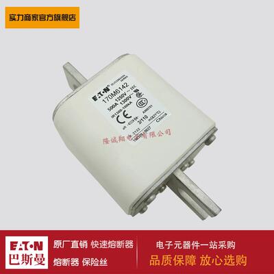 熔断器170M6142 170M6143 170M6144 170M6145 170M6146 170M6147