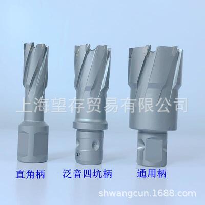 STOOLS空钻头磁力钻头磁座钻钻心头12-60*35取钻芯钻H12-60*35mm