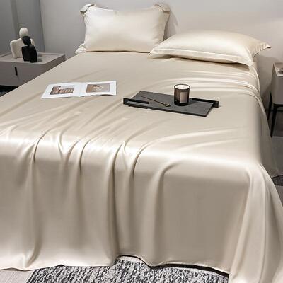 夏天冰丝天丝床2023-03-单纯单件夏季单双人色凉感裸件睡真丝枕套