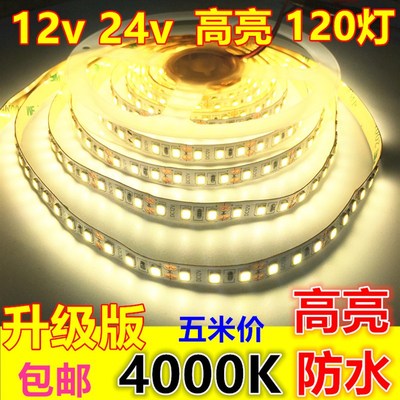 24v4000K高亮12v8mm防水120珠中性光4500K自然白太阳光led灯带条