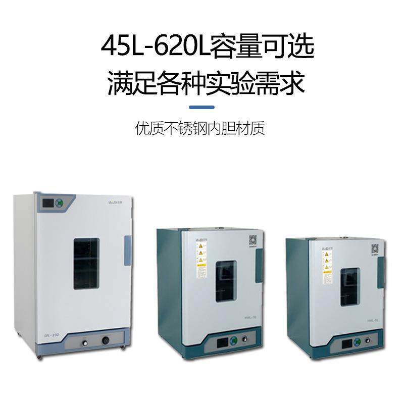 电恒鼓干燥GFL/HWL热箱高温工温业风烘箱烤箱热风烘干机实验室老