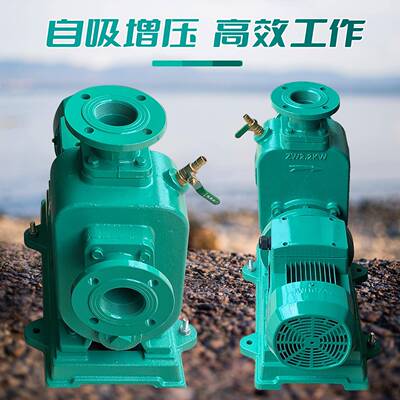 ZW0L65-4-BZG50-11/中威泵业2WLPUMP直联式自吸污无堵塞排泵