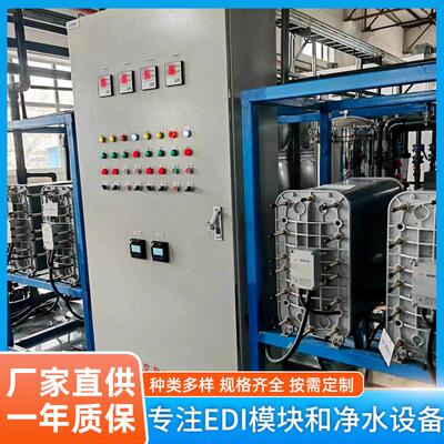 20-30T/hEDI模块连续电除盐反渗透纯水设备RO超纯水处理设备