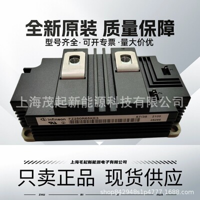 FZ系列R65KE3电线扎带