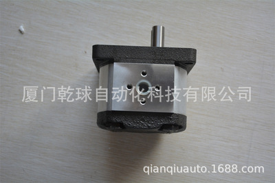 RONZIO齿轮泵02ZCG06L434D