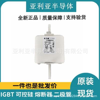 2020原标原厂170M器683170M6814电子元件插入式低压熔断器1断路器
