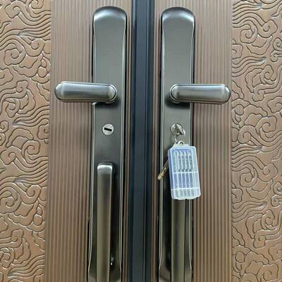 高端别墅大门六毫米盗浮雕款49783别墅大门小区门入户防式门防火