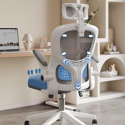 电脑椅久坐舒服家用靠背座椅人中学体工学初生学习椅书椅桌CXJ办