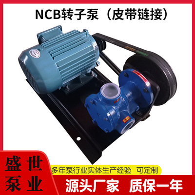NCB3/0.3高粘度转子泵铸铁耐磨齿轮泵内啮合泵吸力好厂家