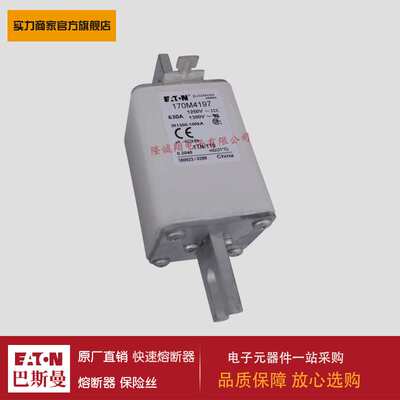 熔断器170M3655 170M3678 170M4170 170M4171 170M4174 170M4198