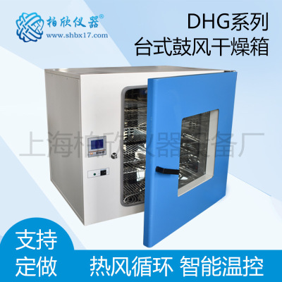上海台式300度恒温鼓风干燥箱
