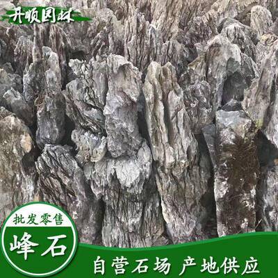 园设计YSFS-006假山设计大观林英赏石河滩石草坪石型德石锋石