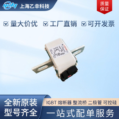 巴斯曼熔断器  170M6763 170M6764 170M6765 170M6766 170M6767