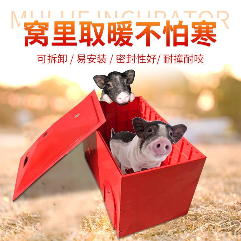 仔猪保温箱小猪保温箱母猪产床保育两用电热板恒温取暖箱养殖设备