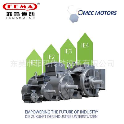 荷兰机mecMotors电动2.2KW-30KW/高压2电动机/OOMT40.CIU37KW