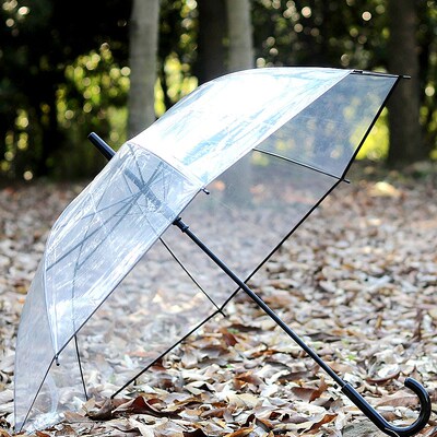 Qiutong单人男女抗风透明雨伞长柄透明伞自动伞文艺小清新学生伞