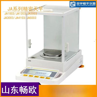 上海舜宇恒平MP110BJA1002/JA21002/31002IVY/410022电子/精密天0