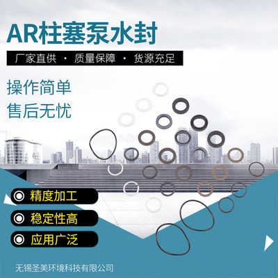 AR泵RTP水封42159密封圈