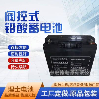 LEOCH理士蓄电池DJM1240S 铅酸免维护 12v40AH UPS电源 蓄电池