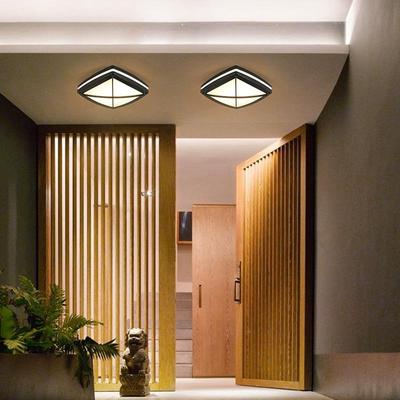 防口水12872户外顶灯防虫阳台庭吸院凉亭廊入户大门走过道室外房