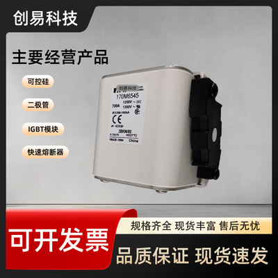 170M6544/5/6/7/8熔断器