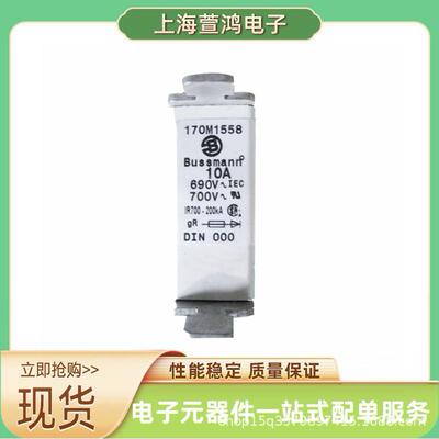 170M6242 170M6243 170M6244 170M6245原装保护器 陶瓷熔断器