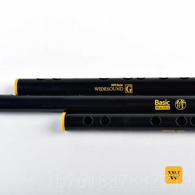 新款泛响 PRCTICE 修列HPSA树脂系 训练级笛 IG