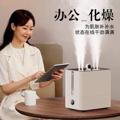 BEIWEI加湿器办公室大雾量双多喷雾空气加湿机便携家用大容量净化
