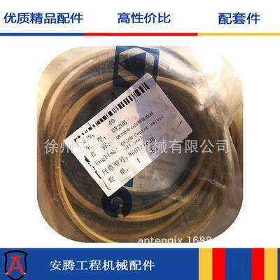 QY20BQY25B中心回转体油封860121808
