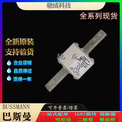 巴斯曼170M3716 170M3717 170M3718 大量现货价格优惠 原装熔断器