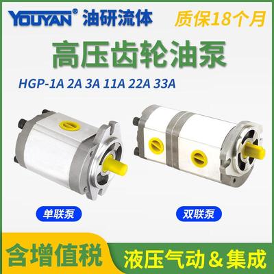 HGP-1A-F1R-X-2B-10高压齿轮泵2A 3 4 5 6 9 12液压11油泵F8R 4BJ