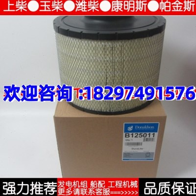 唐纳森空气滤清器ECB125011柴油发电机组配件空气滤芯空滤B125011