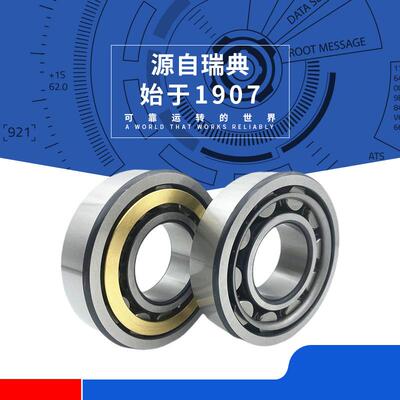 SKF轴承 NJ305ECJ NJ306ECJ NJ307ECJ NJ308ECJ NJ309ECJ/C3轴承