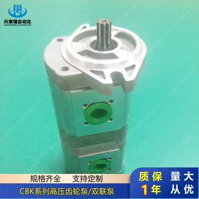 双联齿轮泵CBK1020/20 CBK1020/16 CBK1020/12 CBK1020/10质保1年