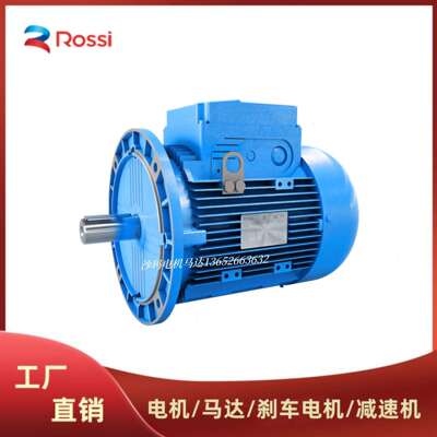 意大利Rossi电机马达HB63A 71B 80A 90S 100LA 112M 132S 160SA