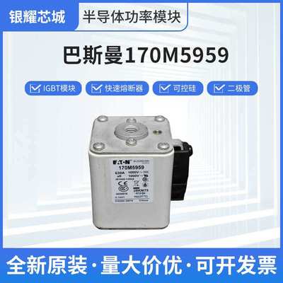 原厂现货巴斯曼170M5959新能源熔断器160NH00G-690/