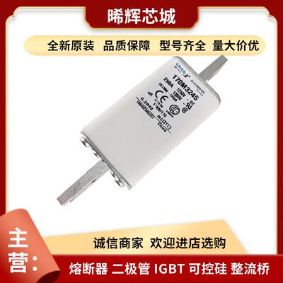 170M3245 170M3243 库存充足 低压快速熔断器 现货 电子元器件