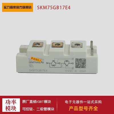 两单元(2U)/1700V IGBT模块SKM50GB173D SKM75GB173D功率模块