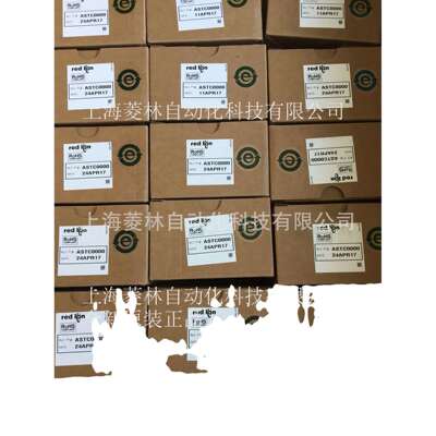 CSSG10RA CSSG10SA CSSG11RA CSSG11SA红狮redlion