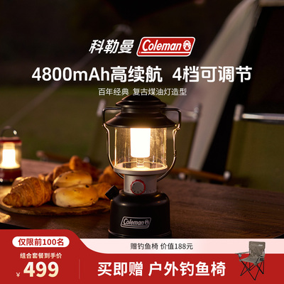 充电LED露营灯黑800流明