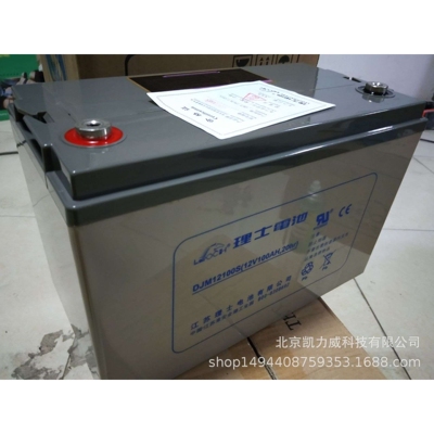 理士(LEOCH) DJM12100 不间断电源电池 12V100AH EPS铅酸蓄电池