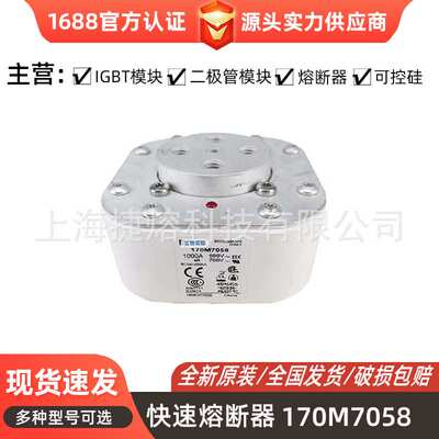 170M7058 170M7059 170M7060  低压熔断器 量大价优 规格齐全