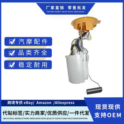 3C0919050G 3C0919050B 3C0919050AA燃油泵总成适用Passat 3C2