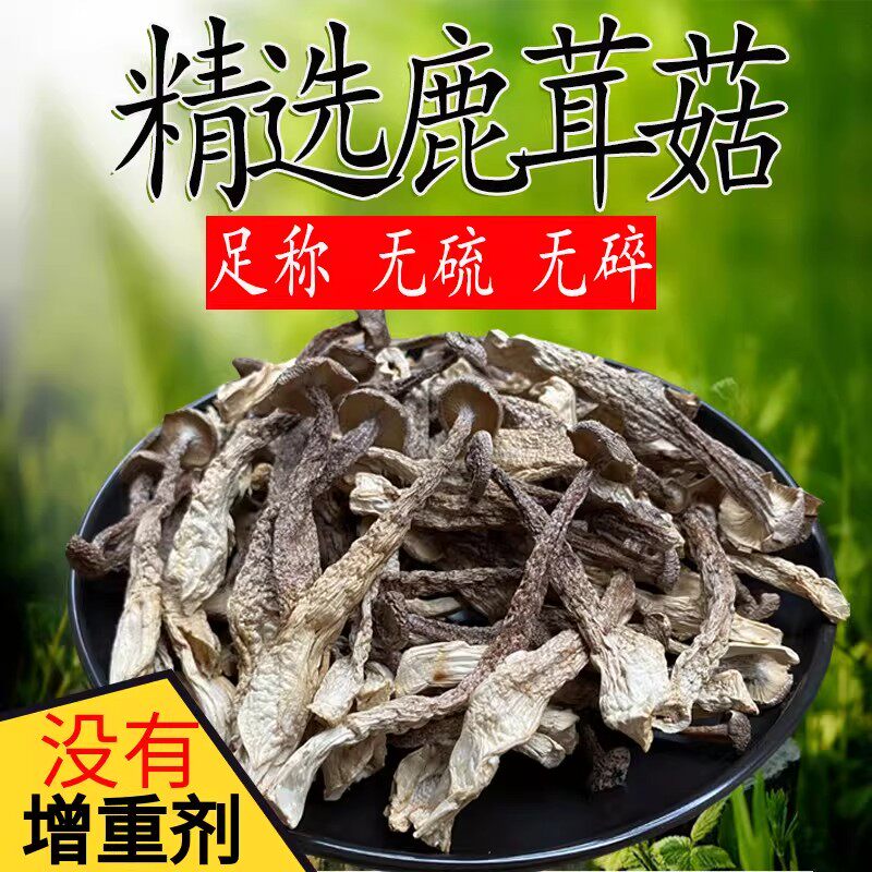 鹿茸菇干货500g包邮鹿茸菌非特级鹿茸菇煲汤云南脆姑菌菇类蘑香菇