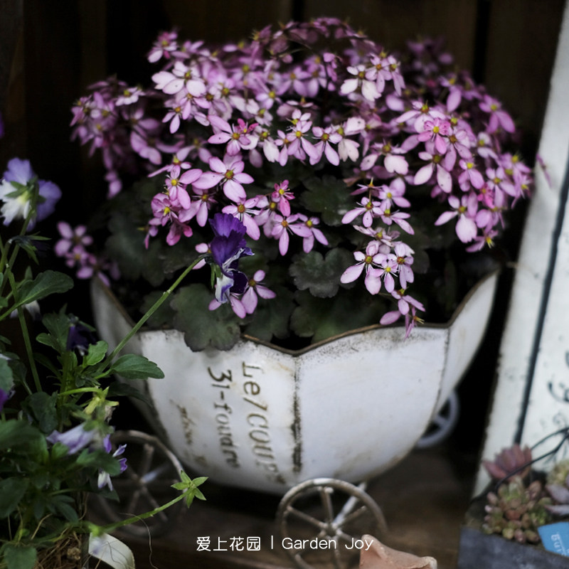铁艺花盒 铁皮做旧南瓜四轮小车花盆 薄铁皮易变形 有孔